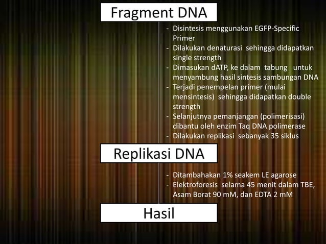 Metoda isolasi pcr ready genomik dna dari jaringan ikan | PPT