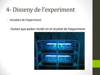 Metode cientific2 | PPT