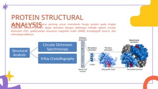 Metode-Metode Analisis Biomolekul_PROTEIN.pptx