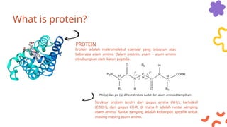 Metode-Metode Analisis Biomolekul_PROTEIN.pptx