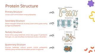 Metode-Metode Analisis Biomolekul_PROTEIN.pptx