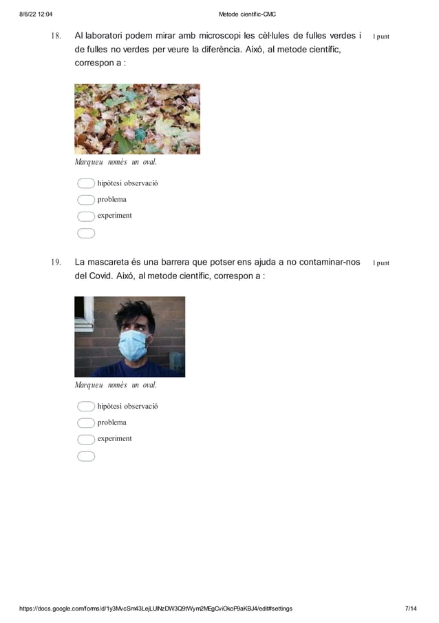 Metode científic-CMC - Formularis de Google.docx