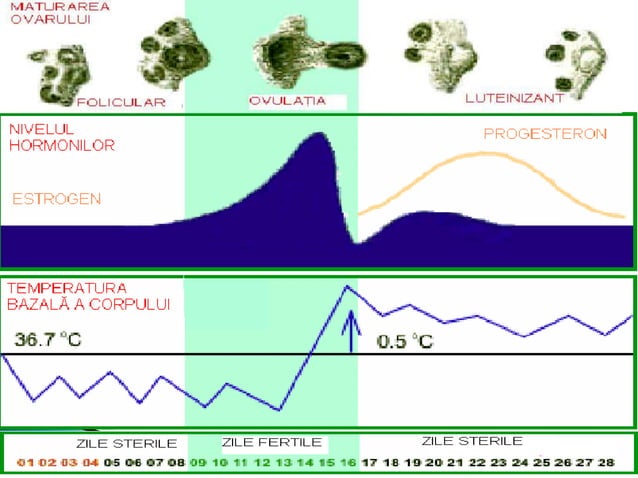 Metode contraceptive | PPT