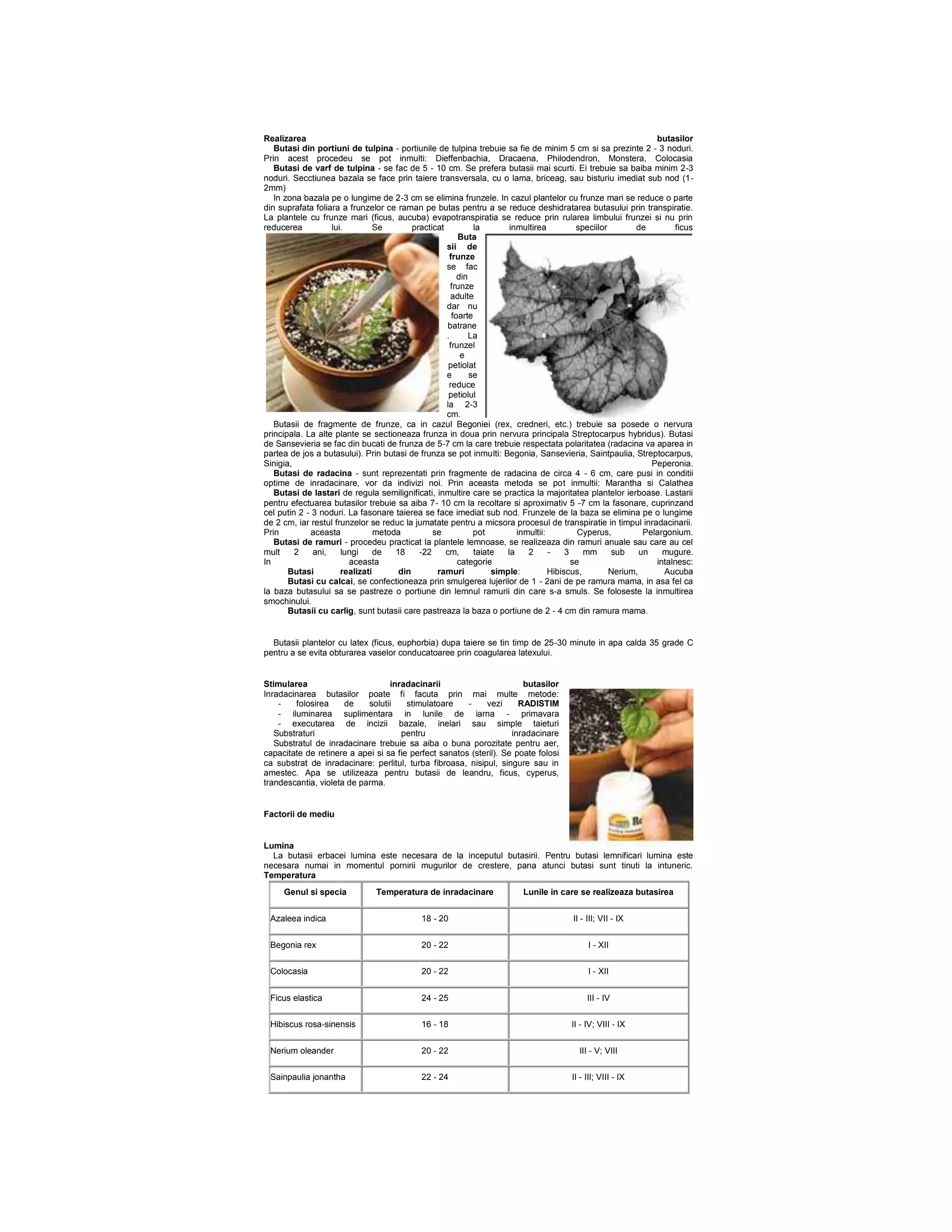 Metode de inmultire la plante | DOCX