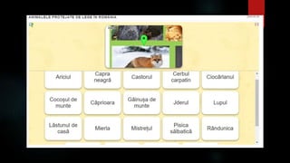 METODE INTERACTIVE.pptx