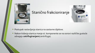 Metode istraživanja stanica | PPT