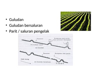 METODE KONSERVASI TANAH DAN AIR SECARA MEKANIK,VEGETATIF DAN KIMIA.pptx