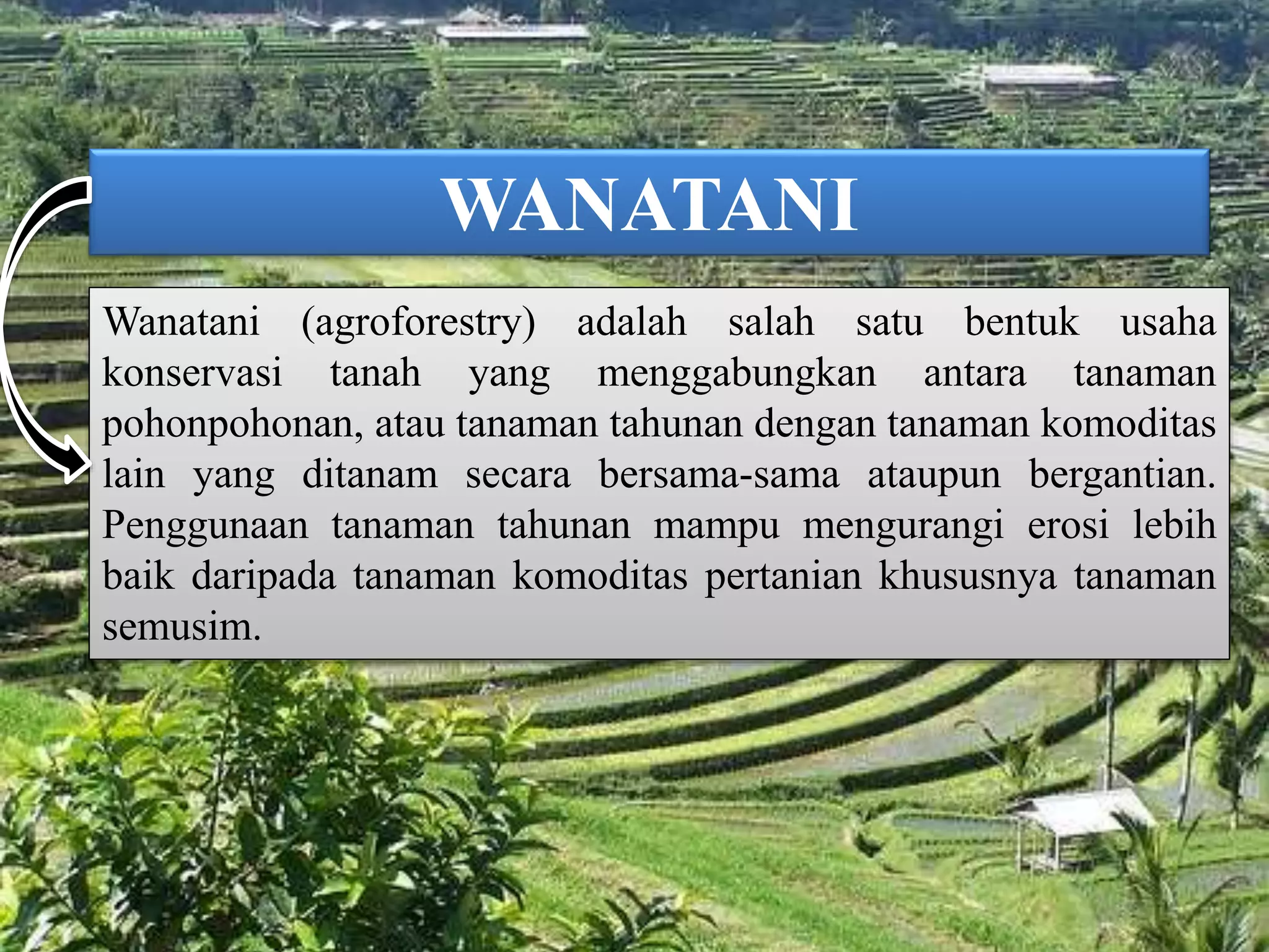 Metode konservasi tanah secara vegetatif | PPTX