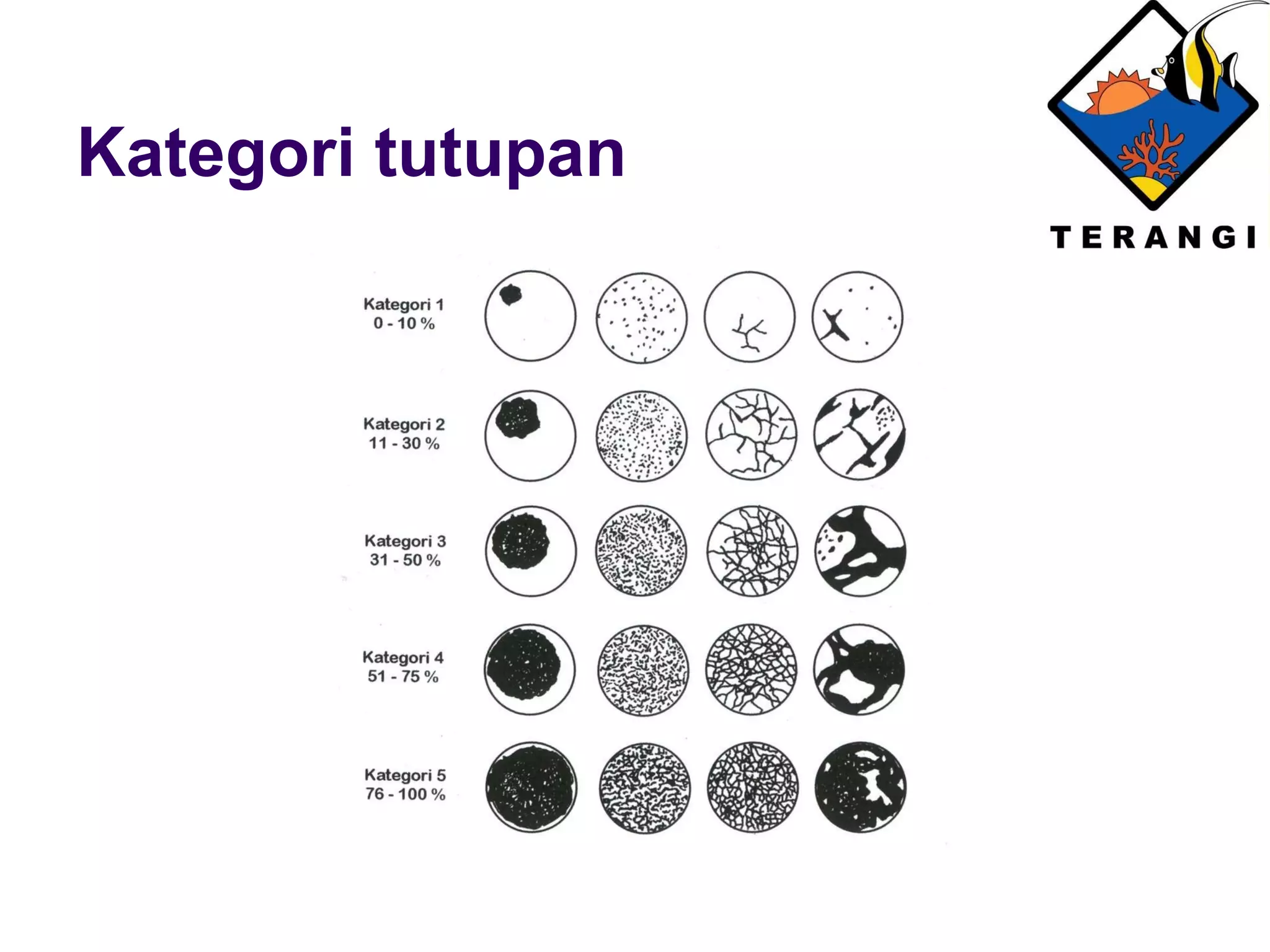 Metode pemantauan terumbu karang | PPT