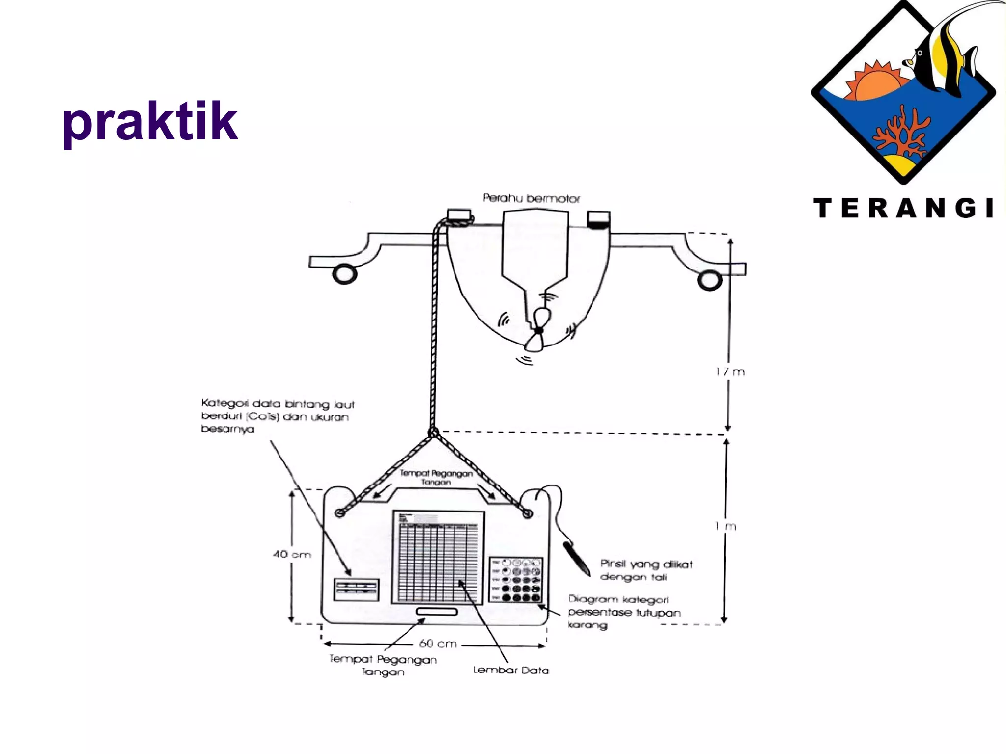 Metode pemantauan terumbu karang | PPT