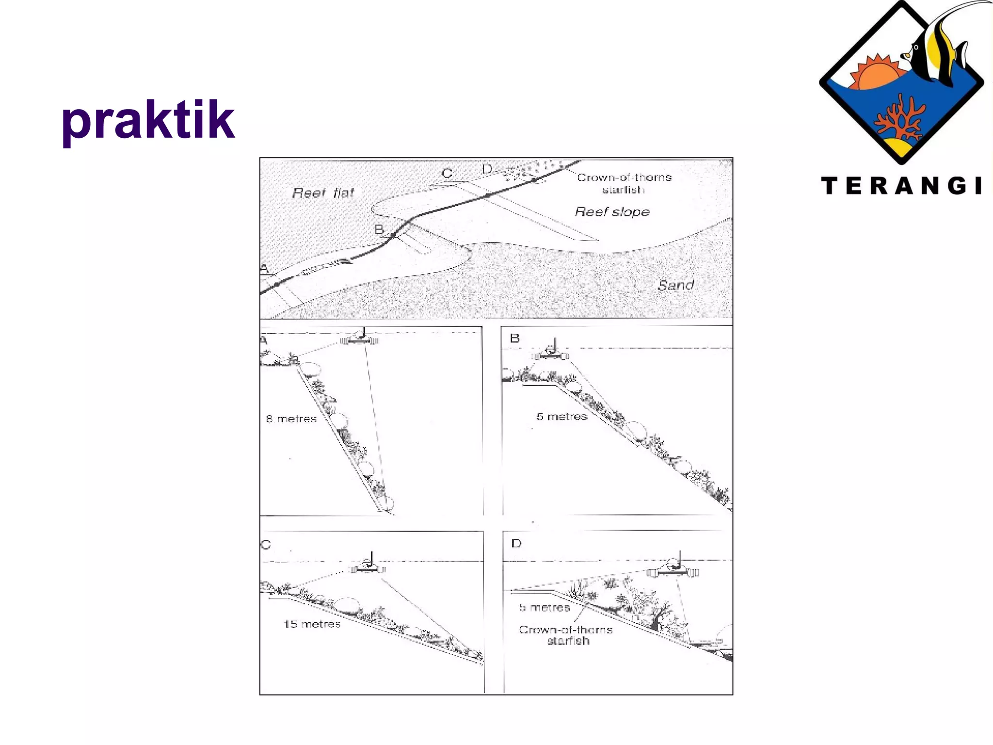 Metode pemantauan terumbu karang | PPT