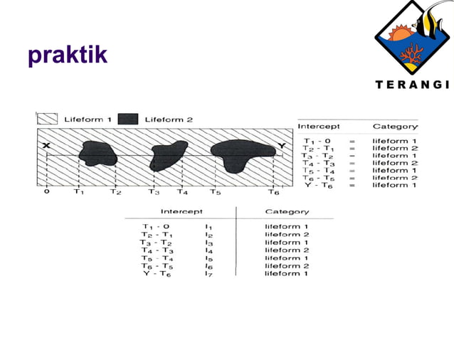 Metode pemantauan terumbu karang | PPT