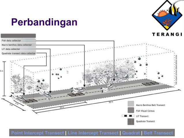 Metode pemantauan terumbu karang | PPT