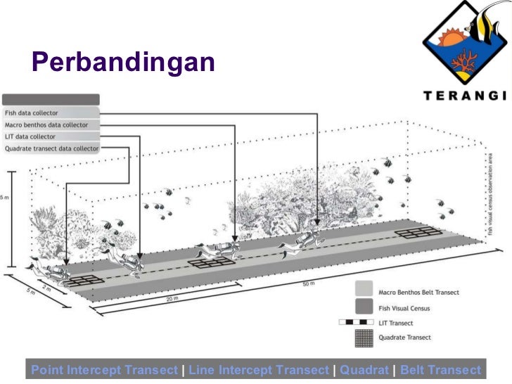 Metode pemantauan terumbu karang