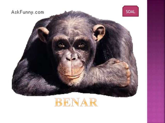 Metode pembelajaran drills and practice | PPTX