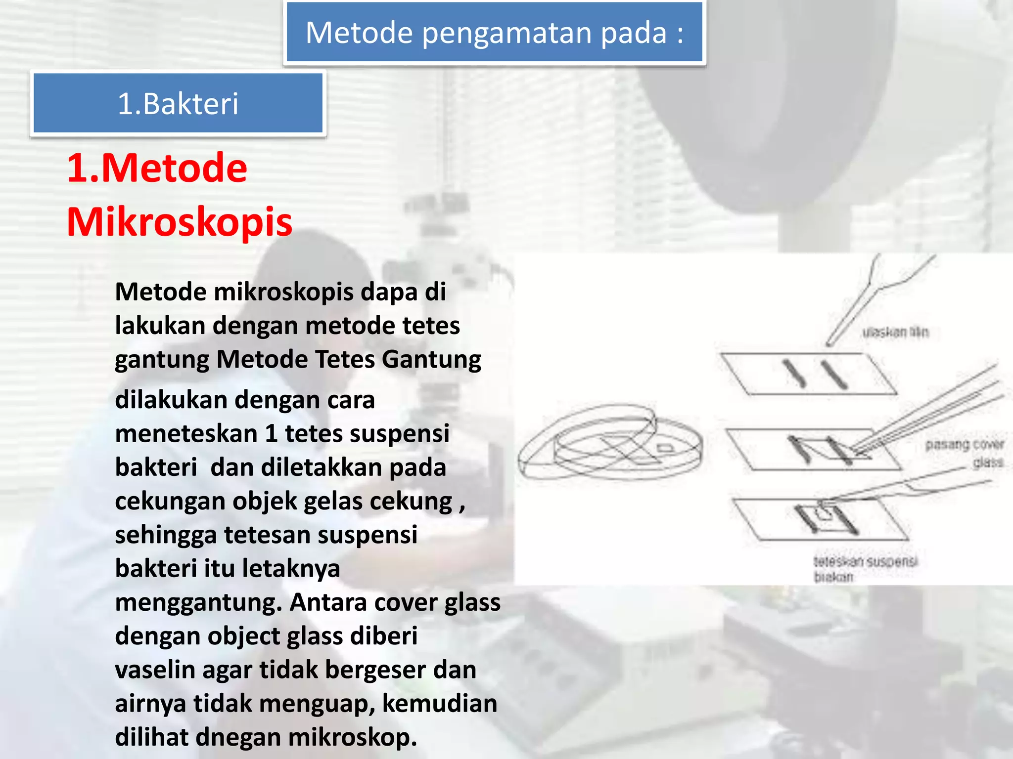 Metode Pengamatan | PPT