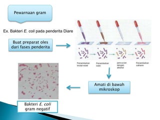 Metode pengamatan kelompok V | PPTX