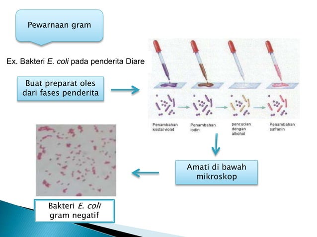 Metode pengamatan kelompok V | PPTX