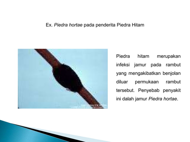 Metode pengamatan kelompok V | PPTX