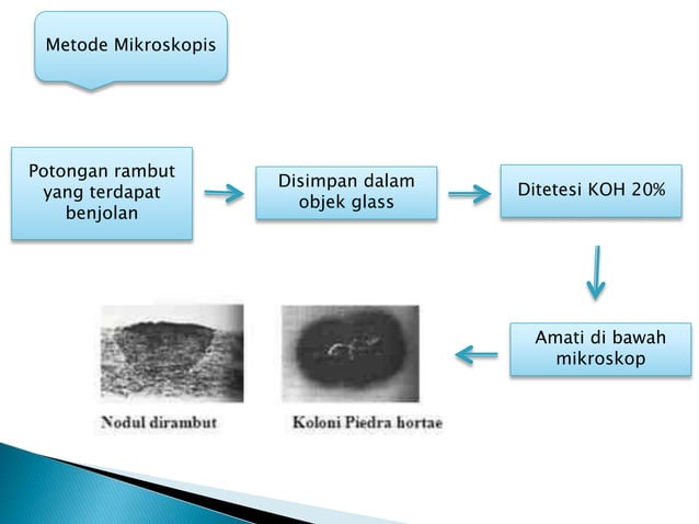 Metode pengamatan kelompok V | PPTX