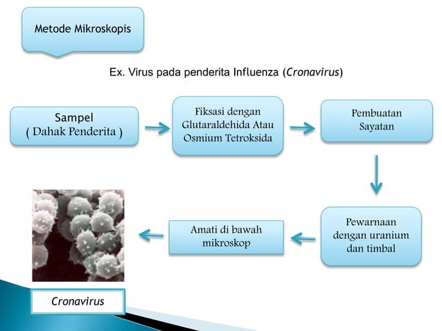 Metode pengamatan kelompok V | PPTX