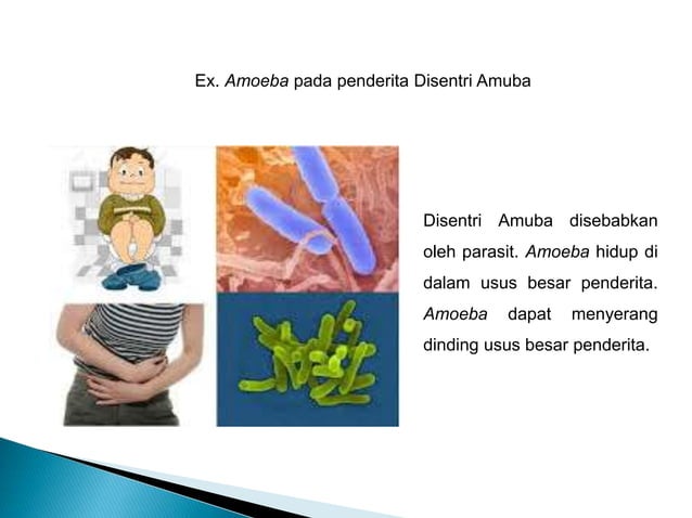 Metode pengamatan kelompok V | PPTX