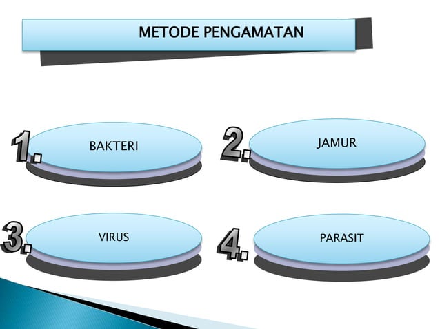 Metode pengamatan kelompok V | PPTX