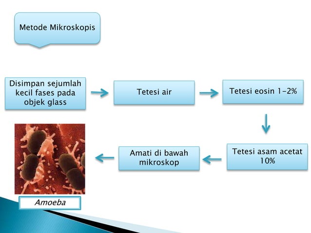 Metode pengamatan kelompok V | PPTX