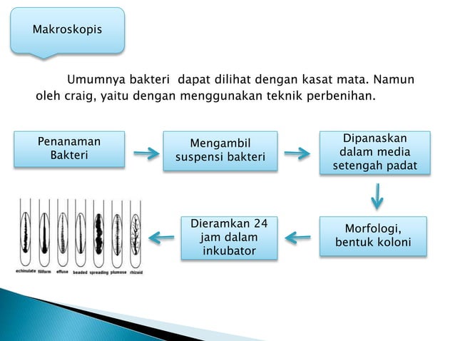 Metode pengamatan kelompok V | PPTX