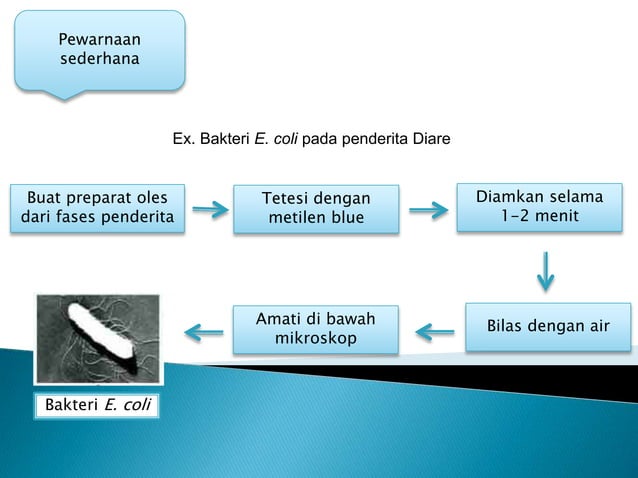 Metode pengamatan kelompok V | PPTX