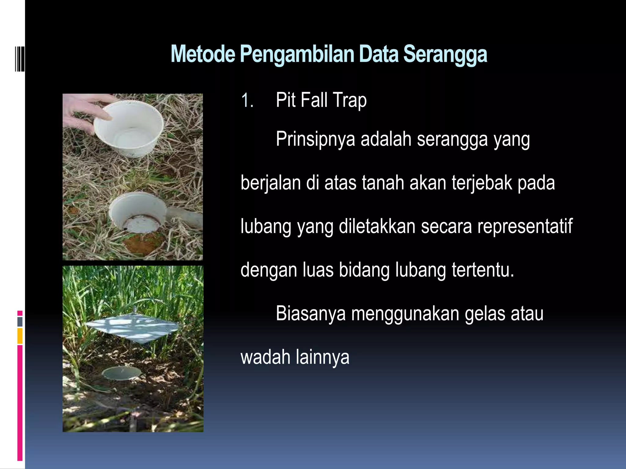 Metode pengambilan data serangga | PPTX