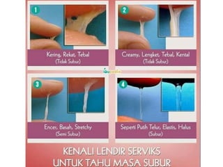 Metode Sadar Masa Subur by Cahaya Indah.ppt