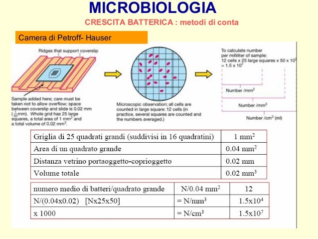 Metodi di conta batterica