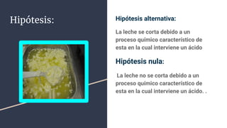 Metodo cientifico la leche cortada | PDF