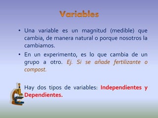 Metodo cientifico y etapas | PPT
