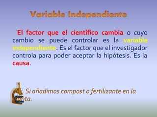 Metodo cientifico y etapas | PPT