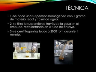 Metodo de concentracion por centrifugacion y flotacion ( | PPTX