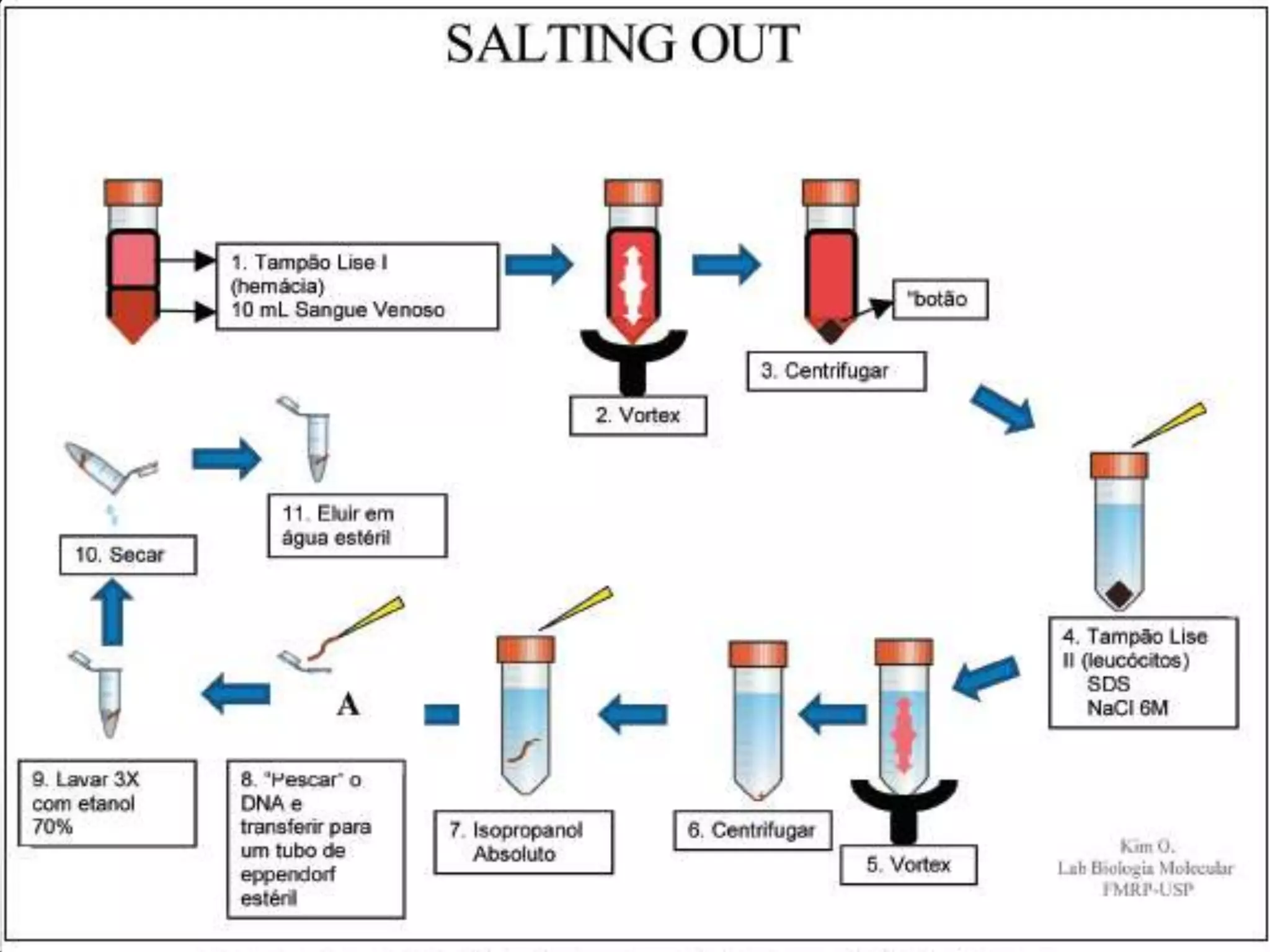 Metodo de Salting-out | PPTX