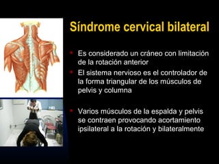 Metodo de thomson y drop | PPT