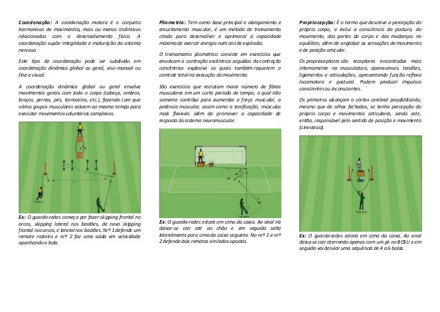 Pedro Ferrer - Metodologia para o treino de guarda redes.