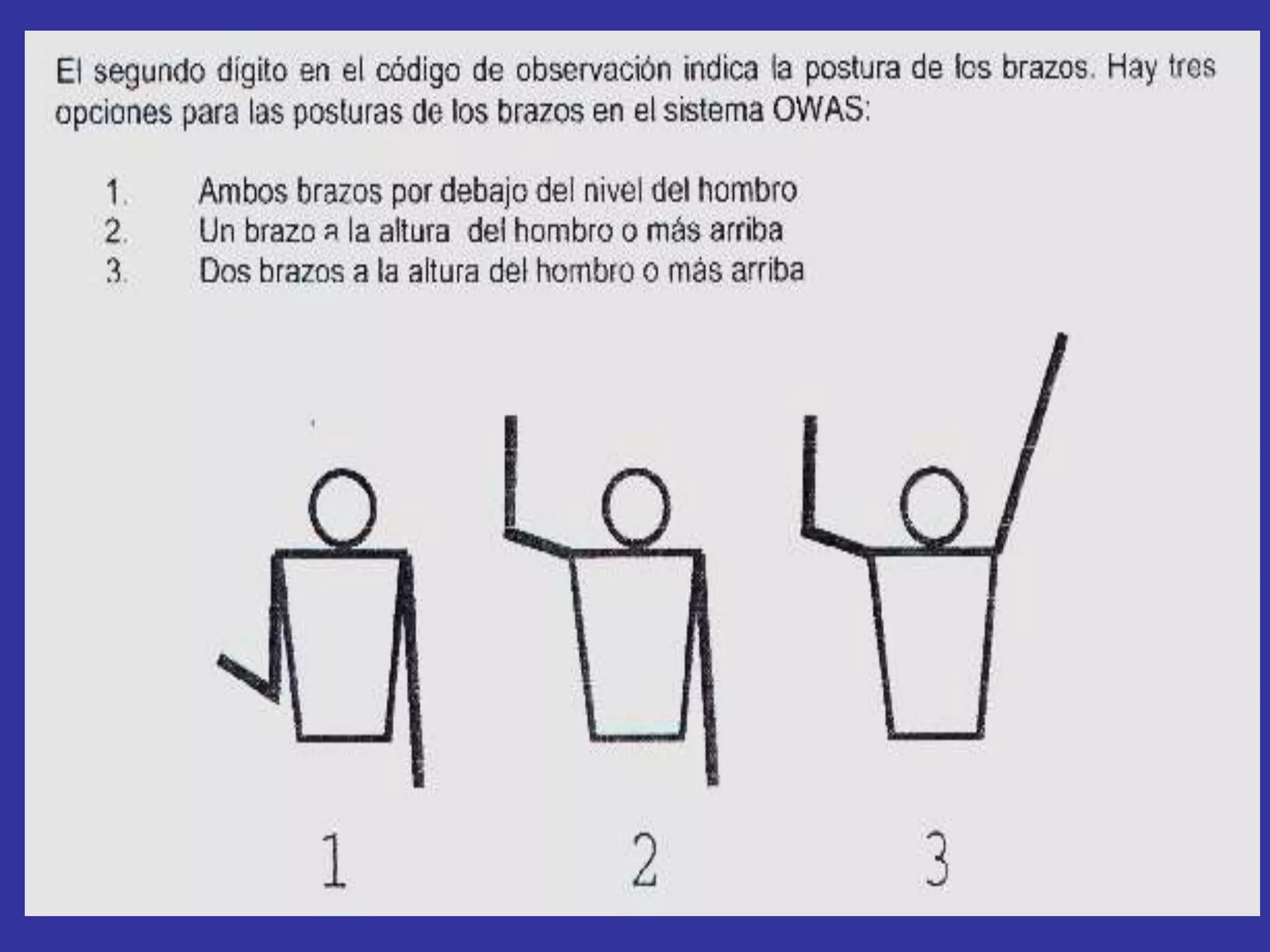 Metodo owas | PPT