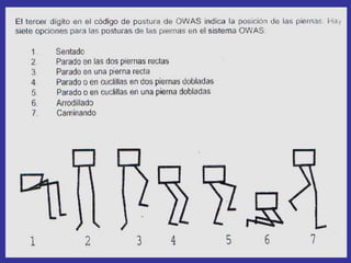 Metodo owas | PPT