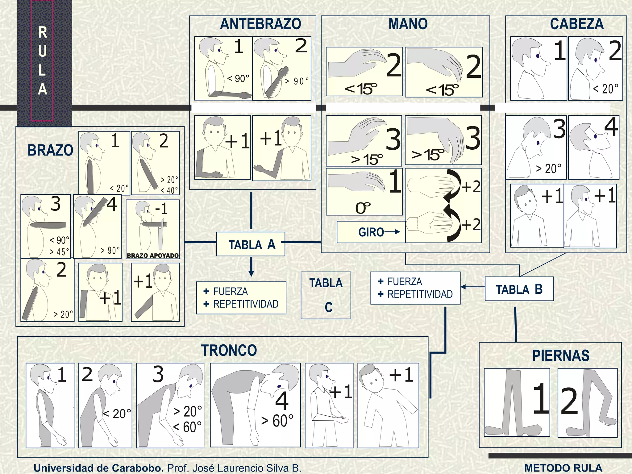 Metodo rula | PPT