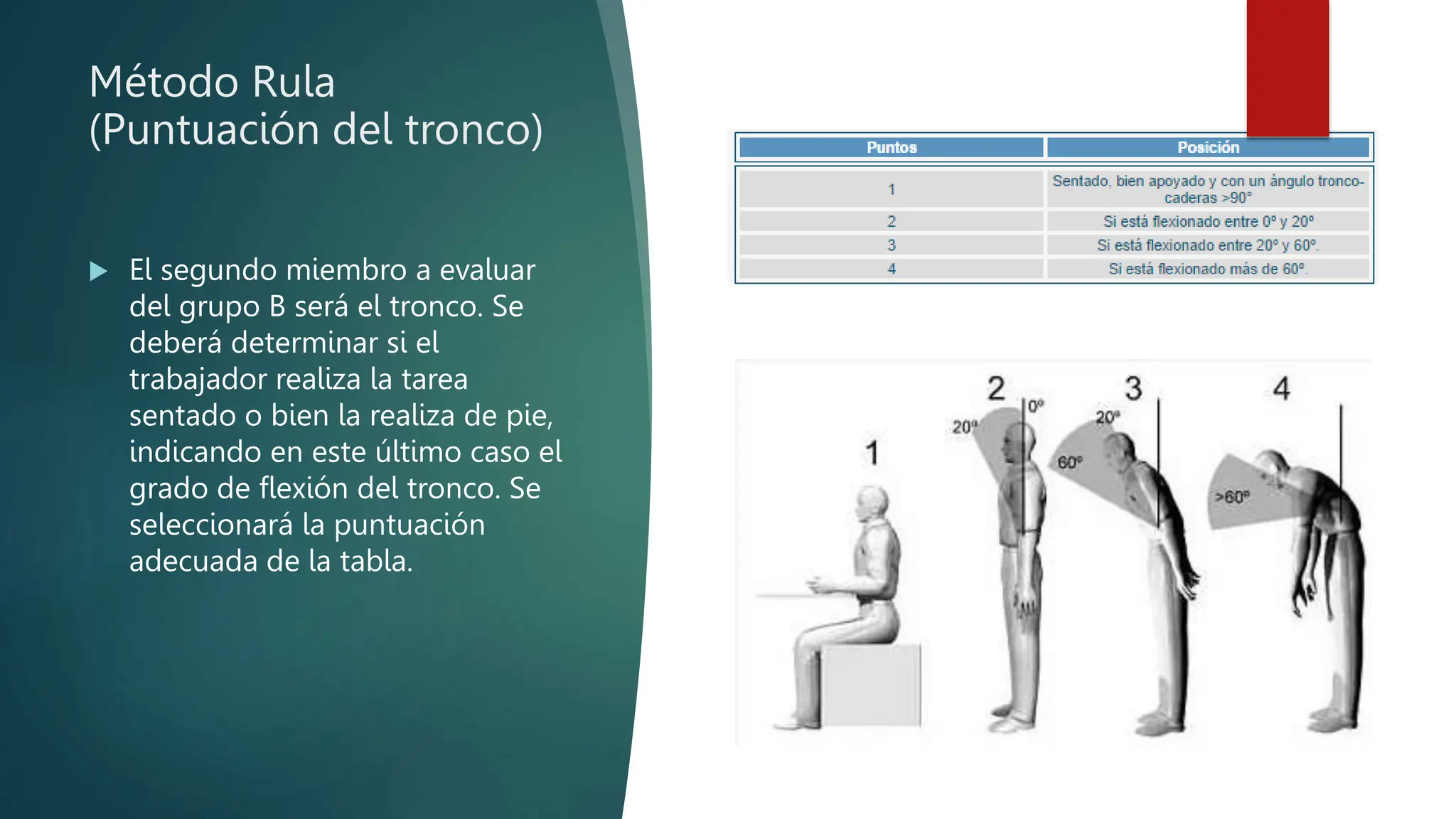 Método Rula Ergonomia posturas del cuerpo brazo torso y cintura | PPTX