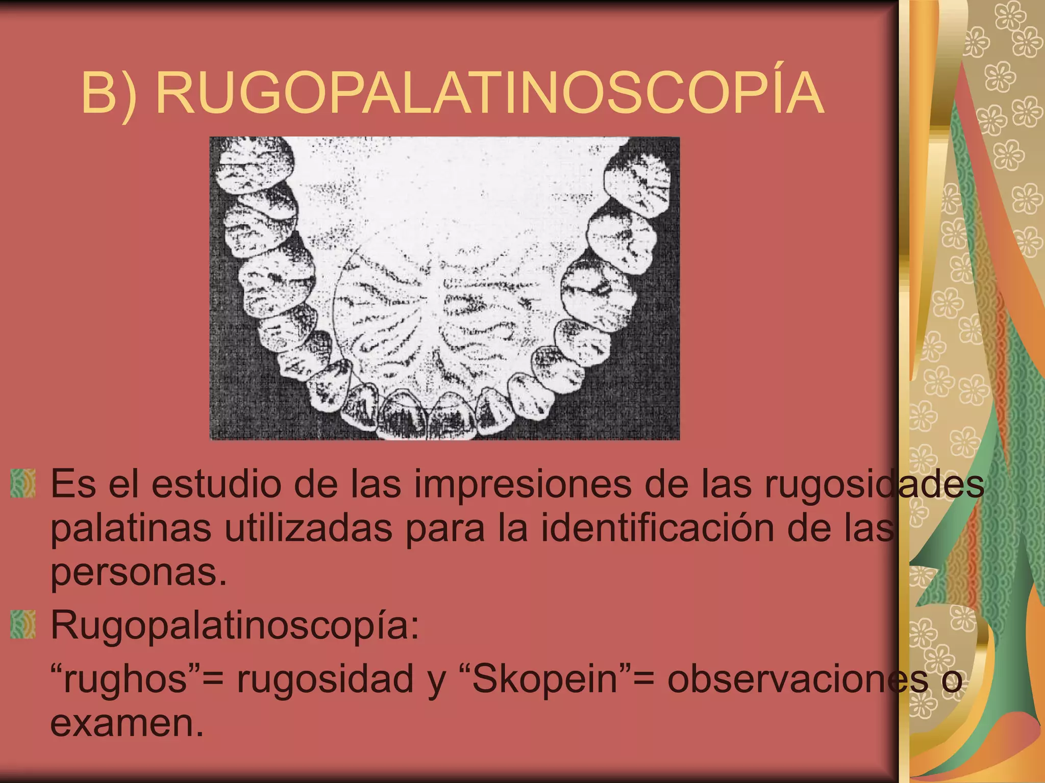 metodos de indentificacion odontografica | PPT