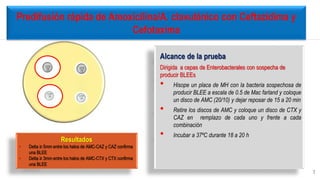 Métodos fenotípicos de diagnostico para detección de BLEEs | PDF