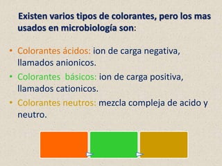 Metodos compuestos de coloracion | PPTX
