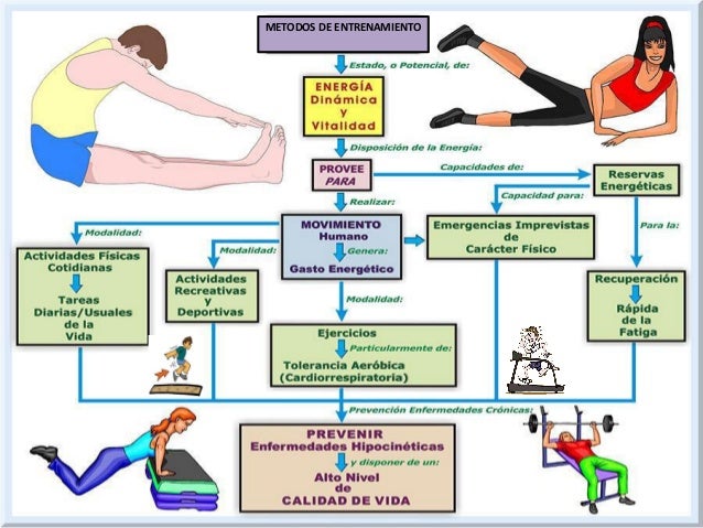 Metodos de entrenamiento