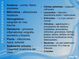Metodos de estudio de la funcion renal | PPTX