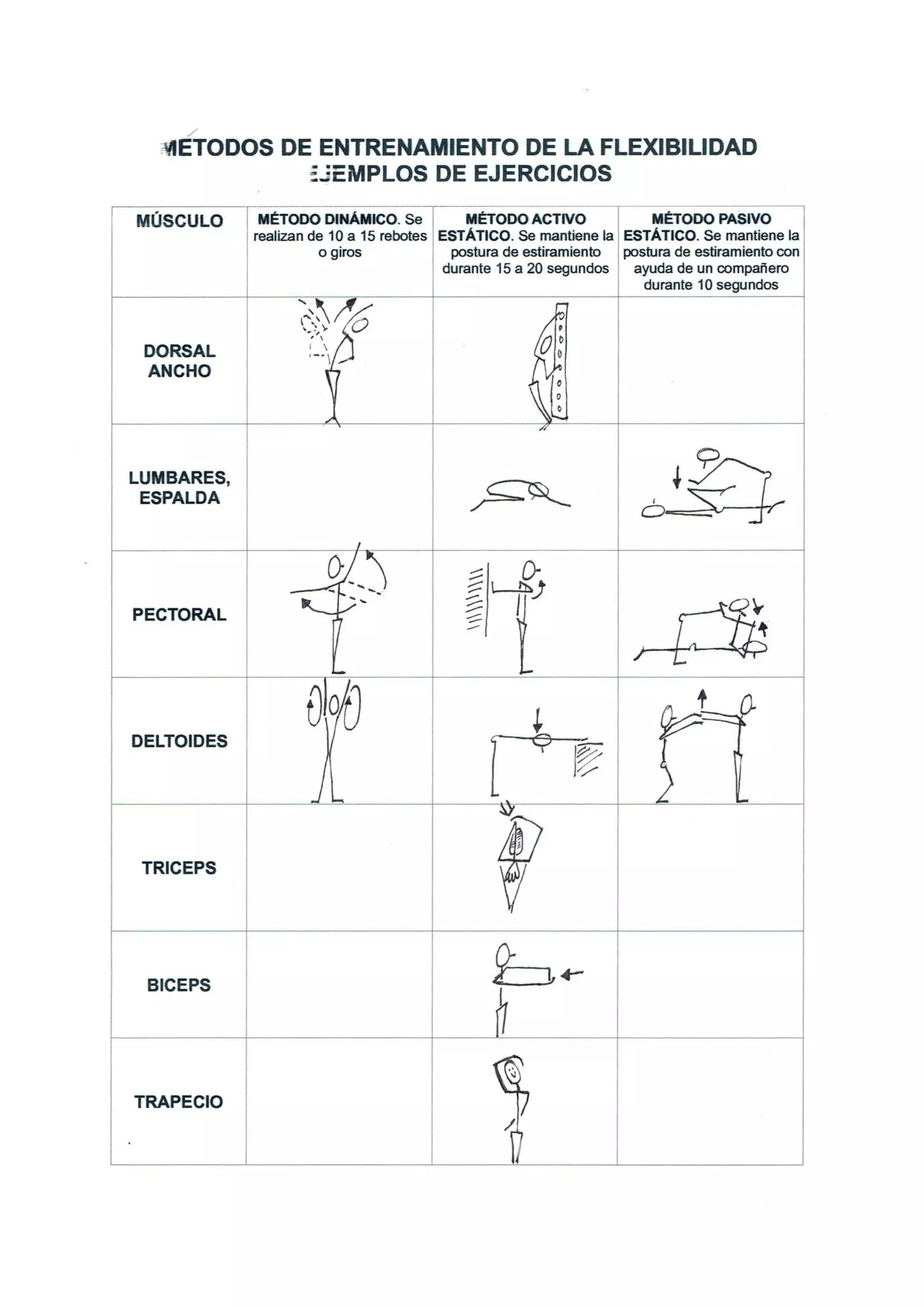 Metodos de flexibilidad | PDF